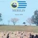 MERILIN